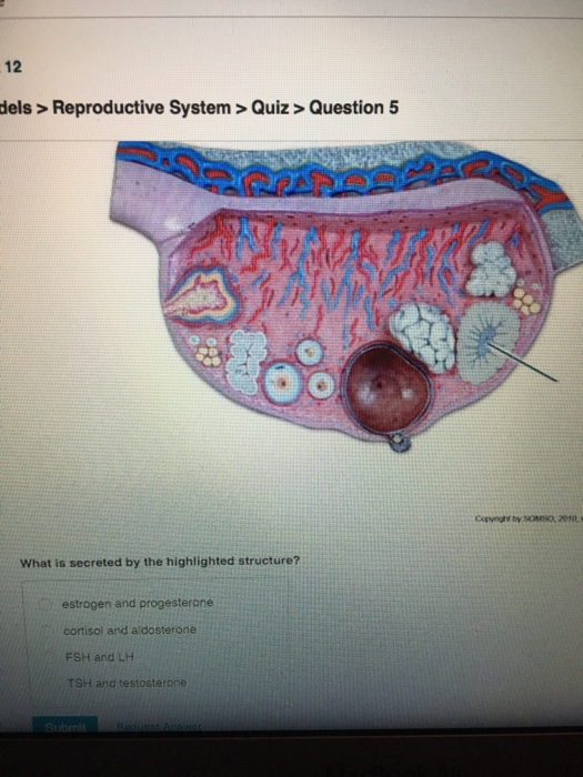 Solved: 12 Dels > Reproductive System > Quiz > Question 5 ... | Chegg.com