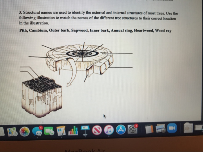 Solved 3. Structural names are used to identify the external | Chegg.com