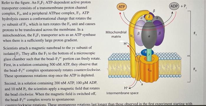 Solved Refer to the figure. An F.F, ATP-dependent active | Chegg.com