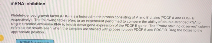 Solved Help Sav PDGF A probe and PDGF B probe Null | Chegg.com