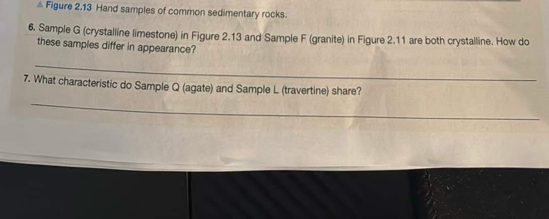 Solved Figure 2.13 ﻿Hand samples of common sedimentary | Chegg.com