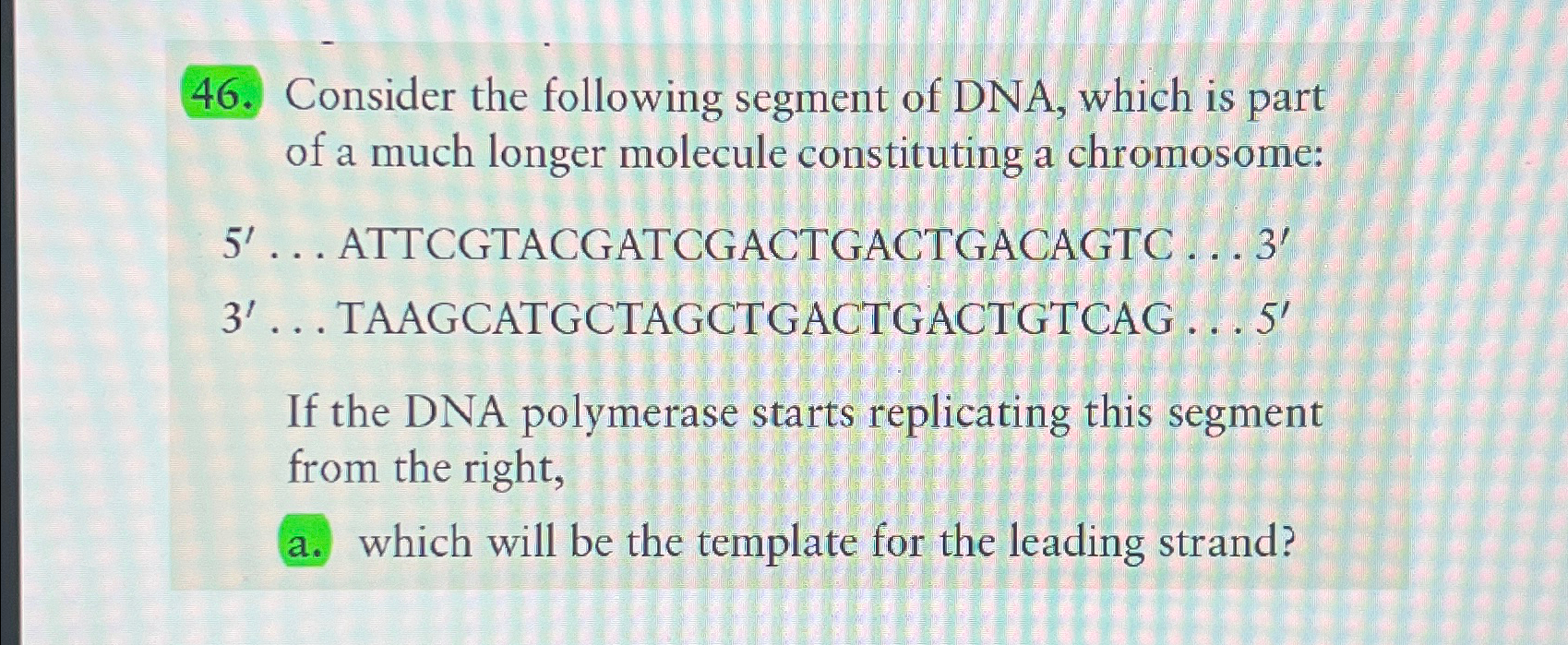 Consider the following segment of DNA, which is part | Chegg.com