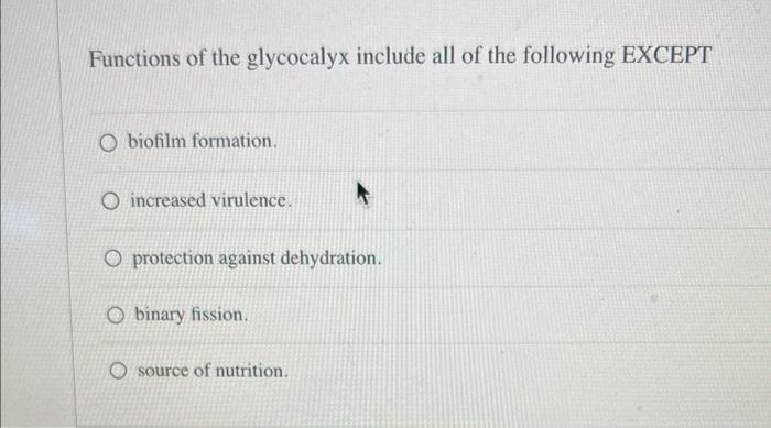 Solved Functions of the glycocalyx include all of the | Chegg.com