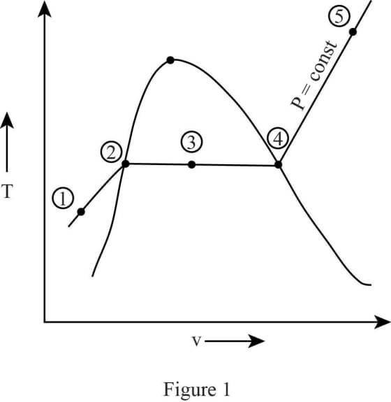 Solved P= const T 0 V Figure 1 | Chegg.com