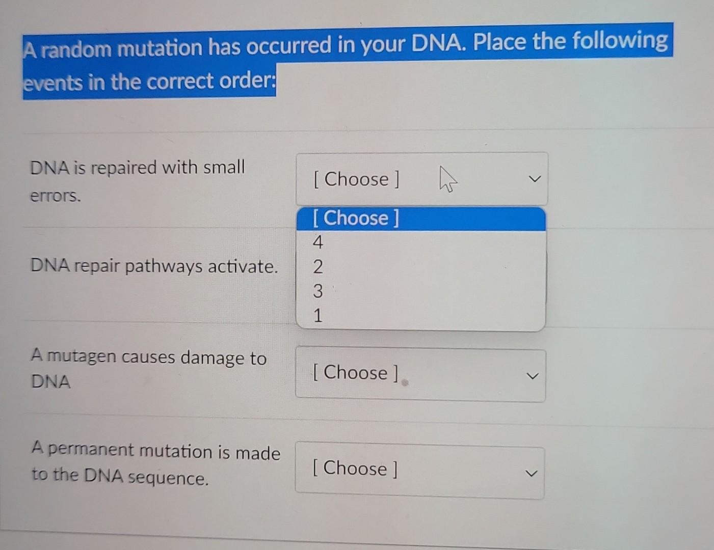Solved A random mutation has occurred in your DNA. Place the | Chegg.com