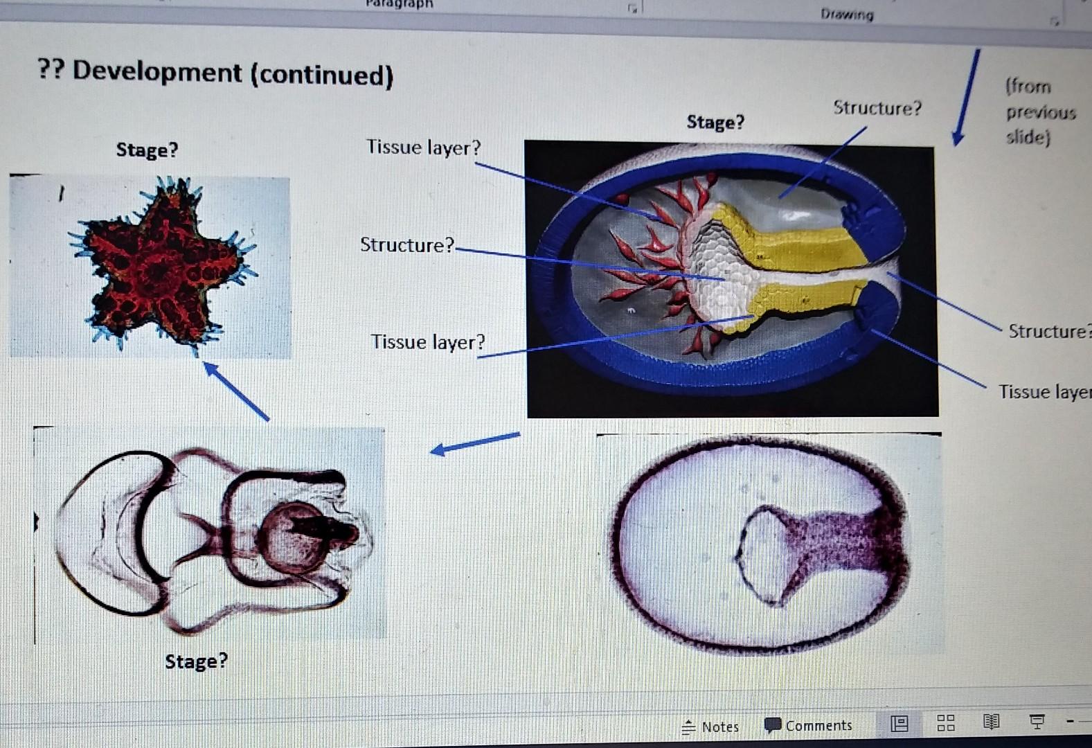 Solved Drawing Label the following images with the following | Chegg.com