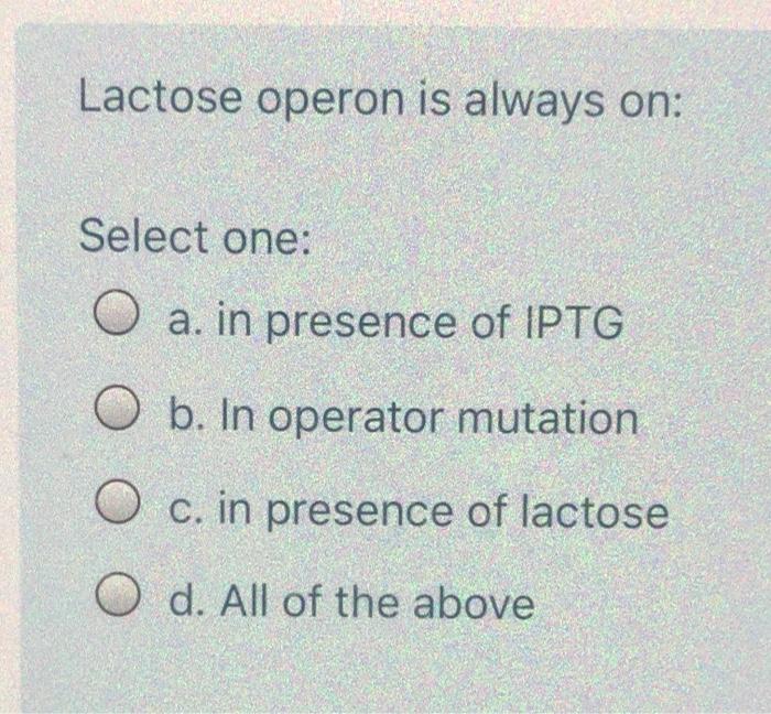 Solved Amber stop codon Select one: O a. UAA O b. UAG O c. | Chegg.com
