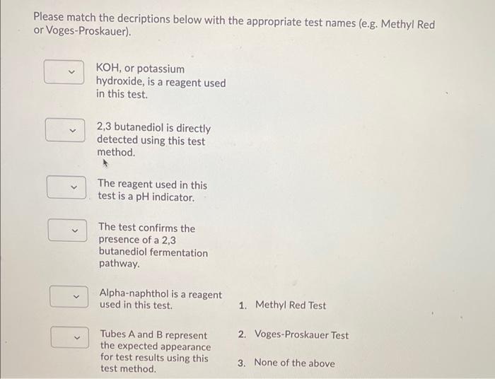 Solved Use the image below as a reference to answer the | Chegg.com