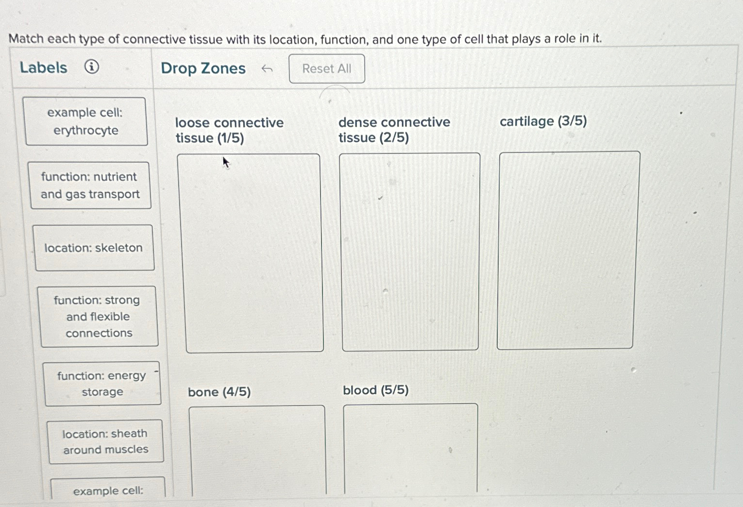 Solved Match each type of connective tissue with its | Chegg.com Solved Match each type of connective tissue with its | Chegg.com
