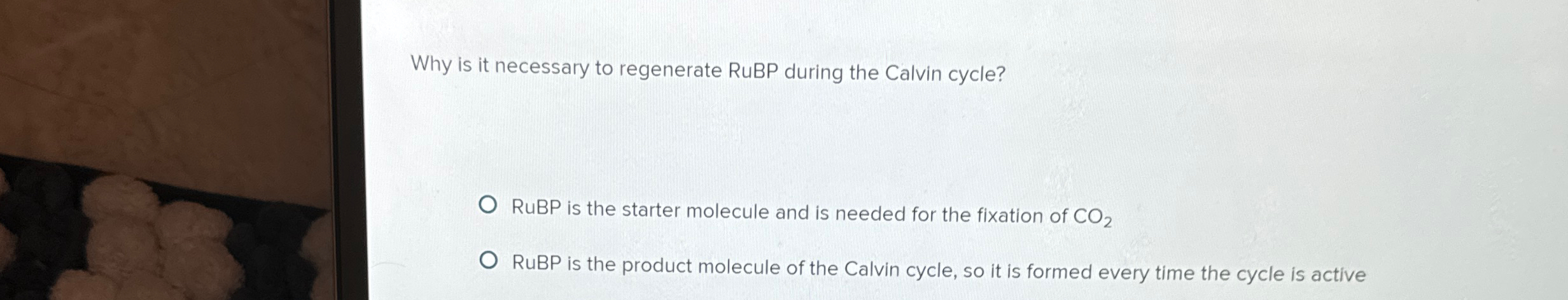 Solved Why is it necessary to regenerate RuBP during the | Chegg.com