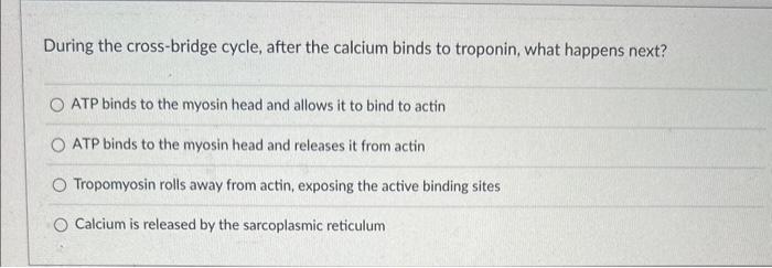 Solved During the cross-bridge cycle, after the calcium | Chegg.com