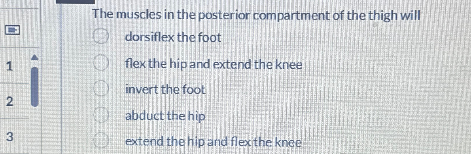 Solved The muscles in the posterior compartment of the thigh | Chegg.com