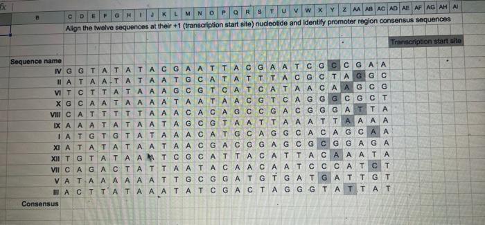 Align the twelve sequences at their +1 (transcription | Chegg.com