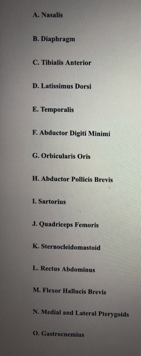 Solved 10. Action: extends the leg at the knee joint 11. | Chegg.com