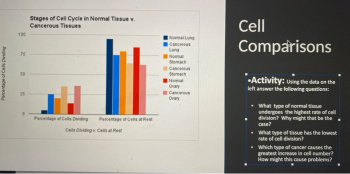 Solved Stages of Cell Cycle in Normal Tissue v. Cancerous | Chegg.com