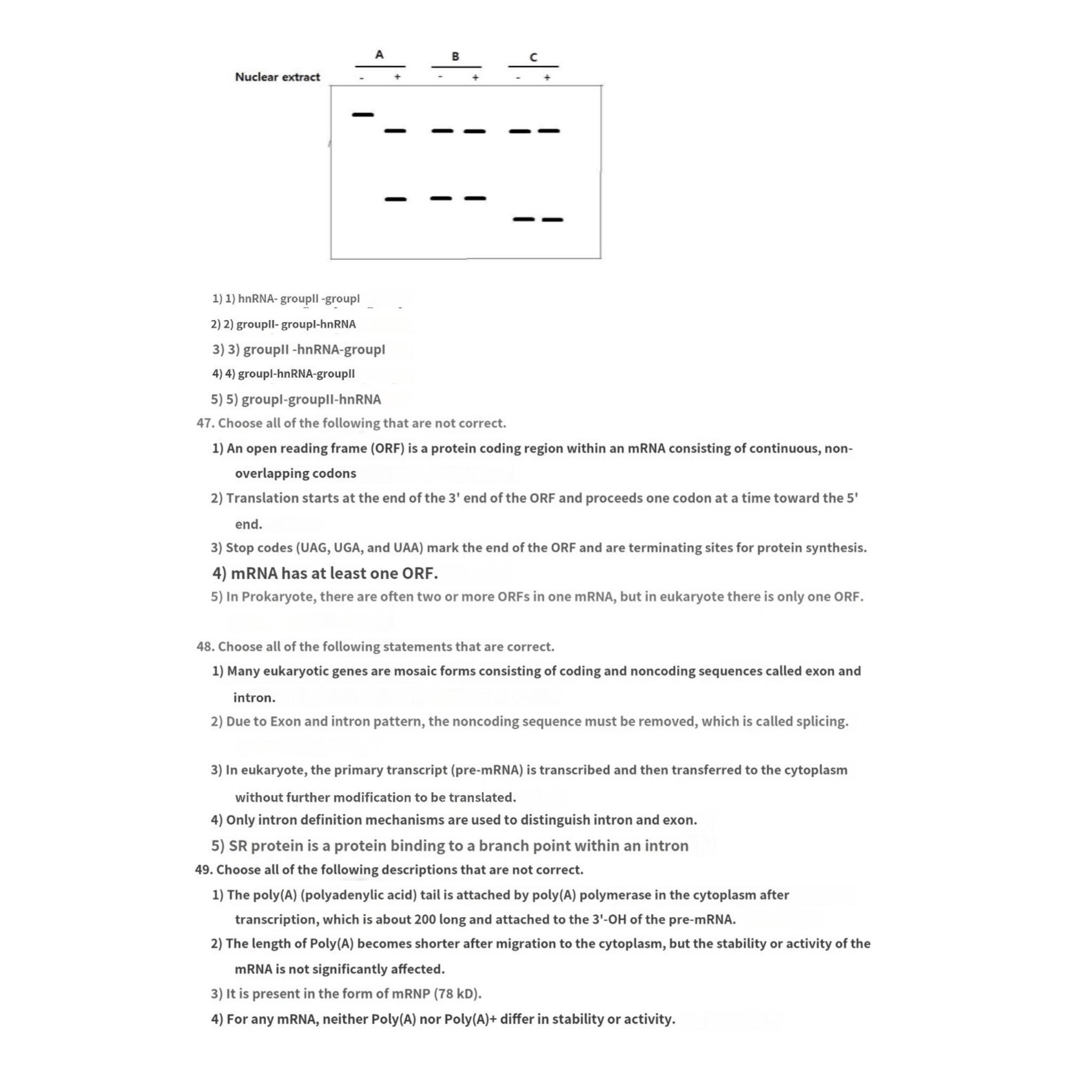 Solved The first question is, ﻿"Next, an in vitro splicing | Chegg.com