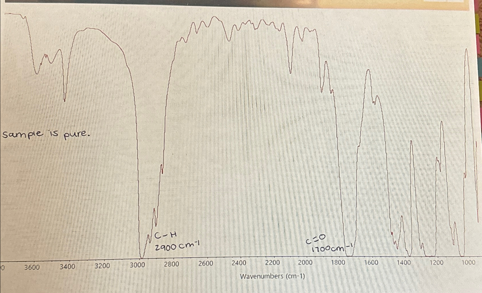 Solved Briefly comment on the purity of your ethyl acetate | Chegg.com