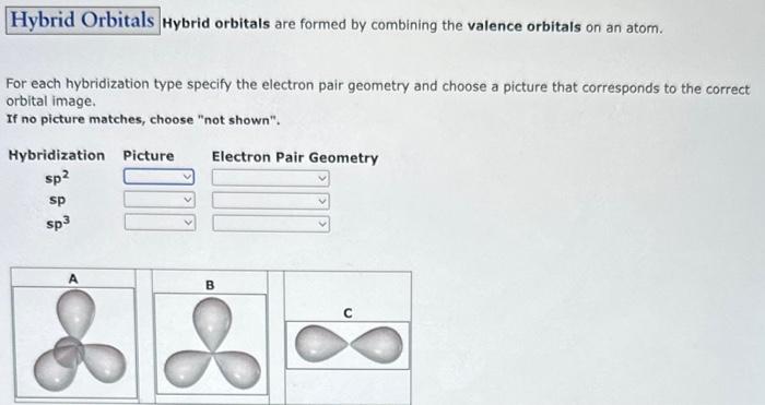 Solved Hybrid orbitals are formed by combining the valence | Chegg.com