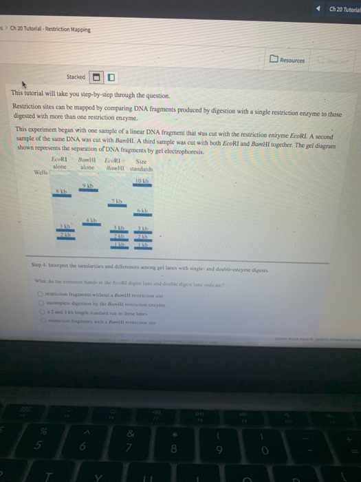 Solved Ch 20 Tutorial 5 Ch 20 Tutorial - Restriction Mapping | Chegg.com