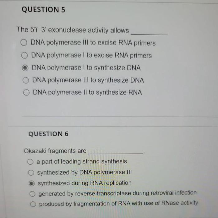 Solved QUESTION 5 The 5' 3' exonuclease activity allows O | Chegg.com