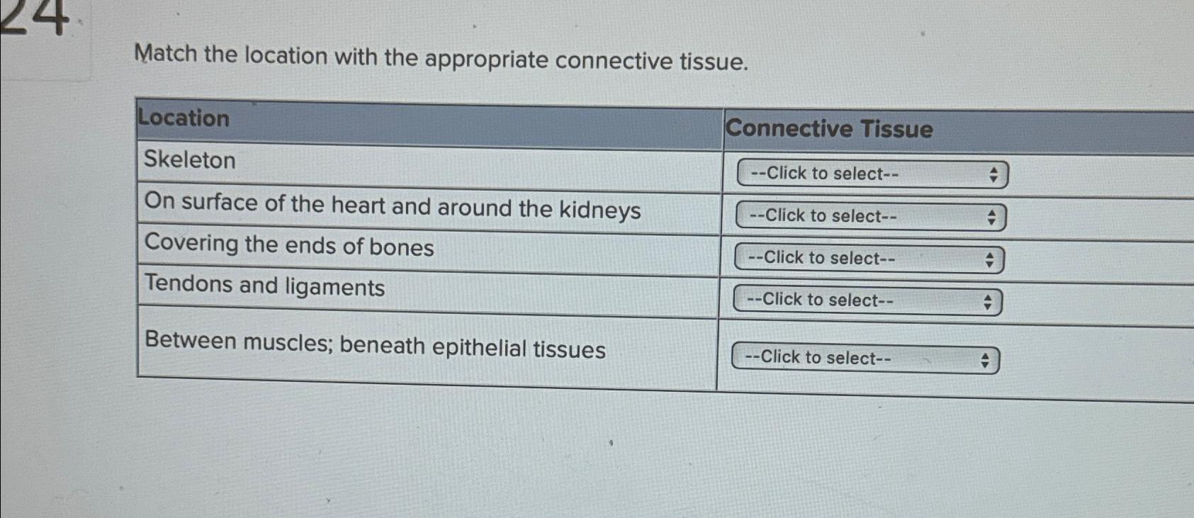 Solved Match the location with the appropriate connective | Chegg.com