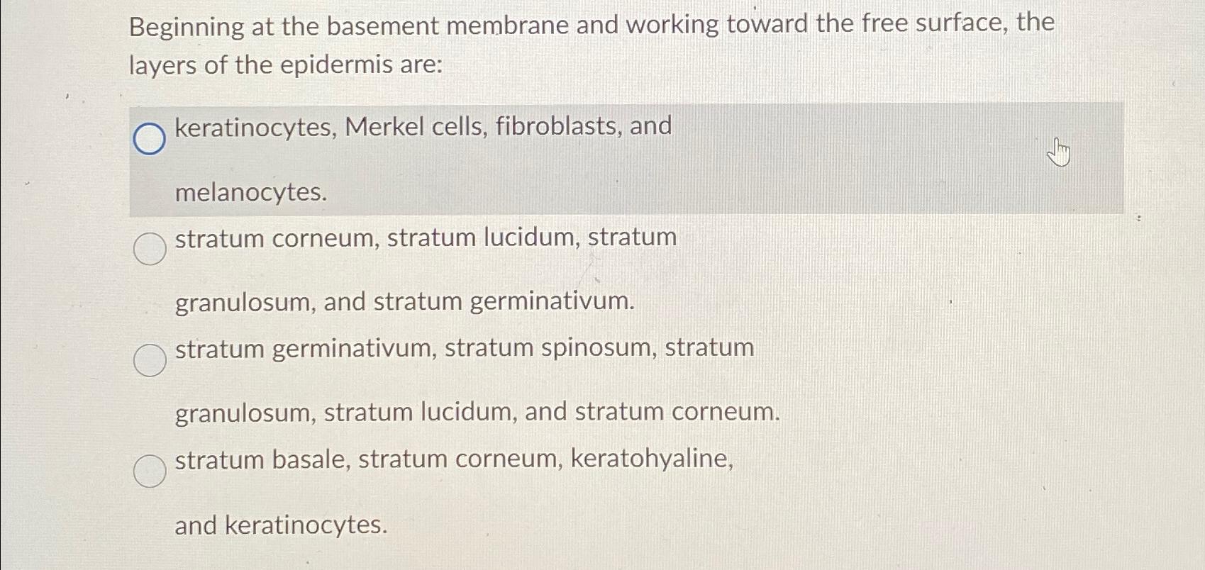 Solved Beginning at the basement membrane and working toward | Chegg.com