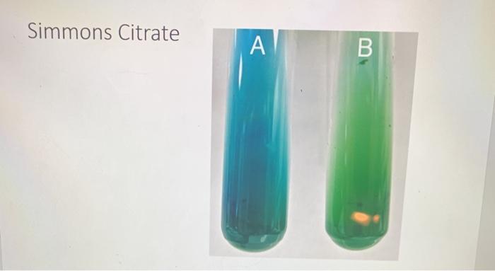 Solved C Unknown Results Exercise 31 SIM (hydrogen sulfide | Chegg.com