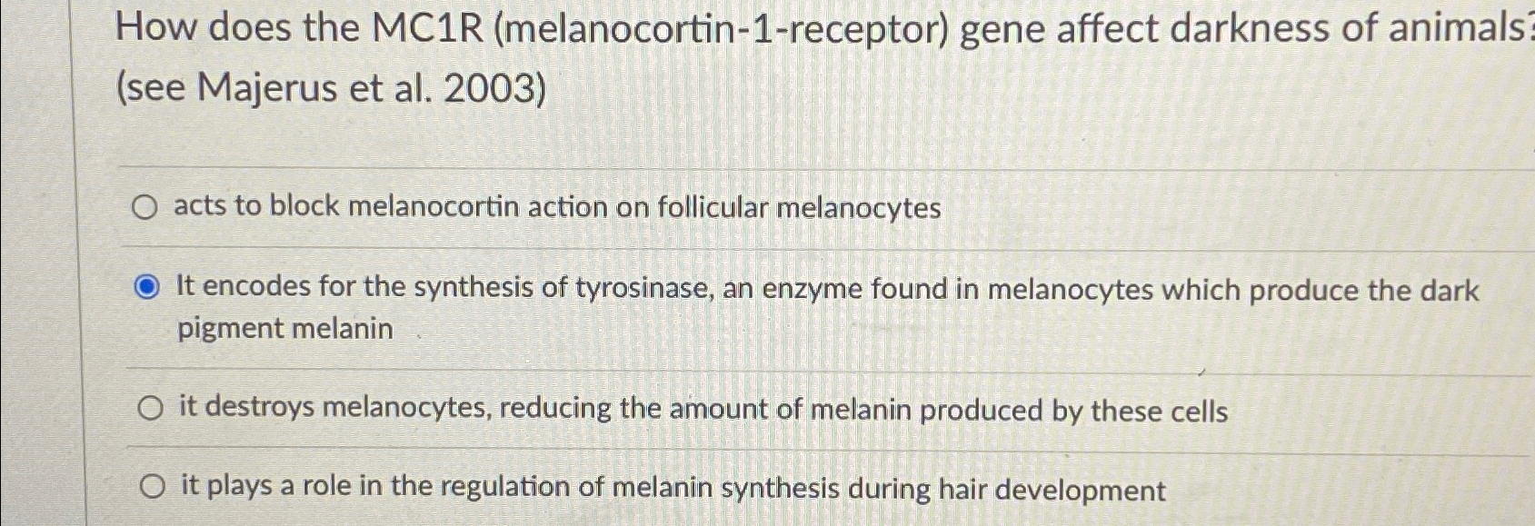 Solved How does the MC1R (melanocortin-1-receptor) ﻿gene | Chegg.com