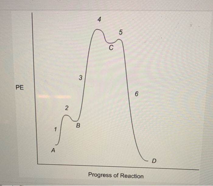 Solved In the PE diagram, which species is present in the | Chegg.com