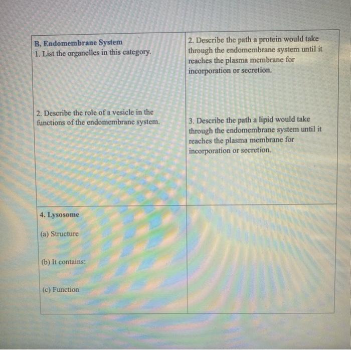B. Endomembrane System 1. List the organelles in this | Chegg.com