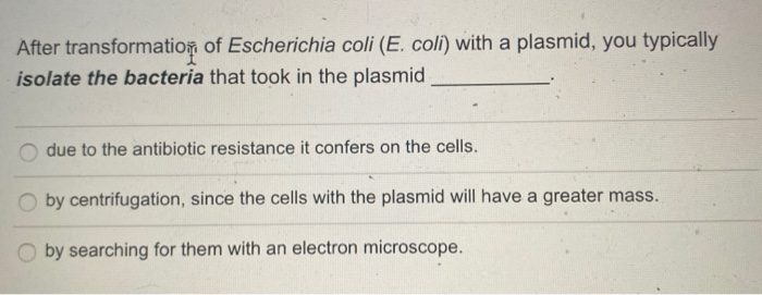 Solved After transformation of Escherichia coli (E. coli) | Chegg.com