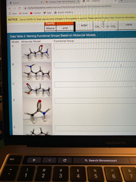 Solved X myLCC Th Course: CHM-130-IN General, X HOL - | Chegg.com