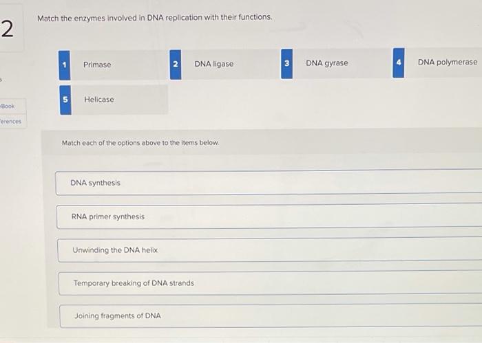 Solved Match the enzymes involved in DNA replication with | Chegg.com