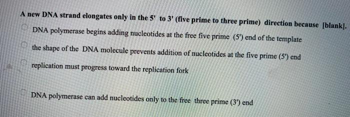 Solved A new DNA strand elongates only in the 5' to 3' (five | Chegg.com