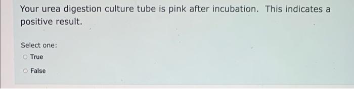 Solved Your urea digestion culture tube is pink after | Chegg.com