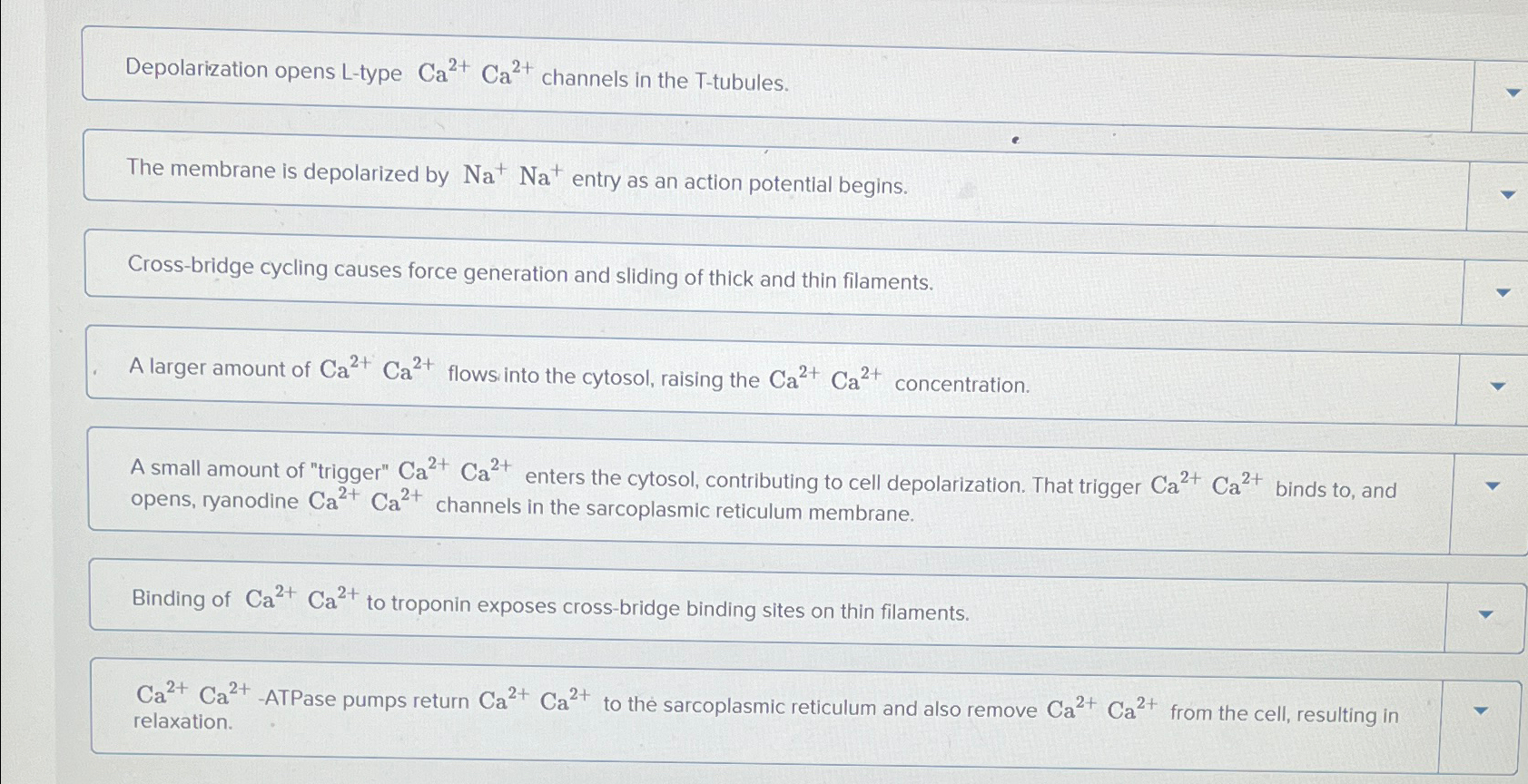 Solved Depolarization opens L-type Ca2+Ca2+ ﻿channels in the | Chegg.com