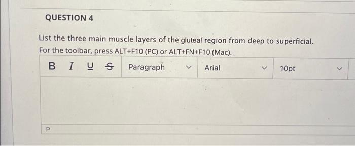 List the three main muscle layers of the gluteal | Chegg.com