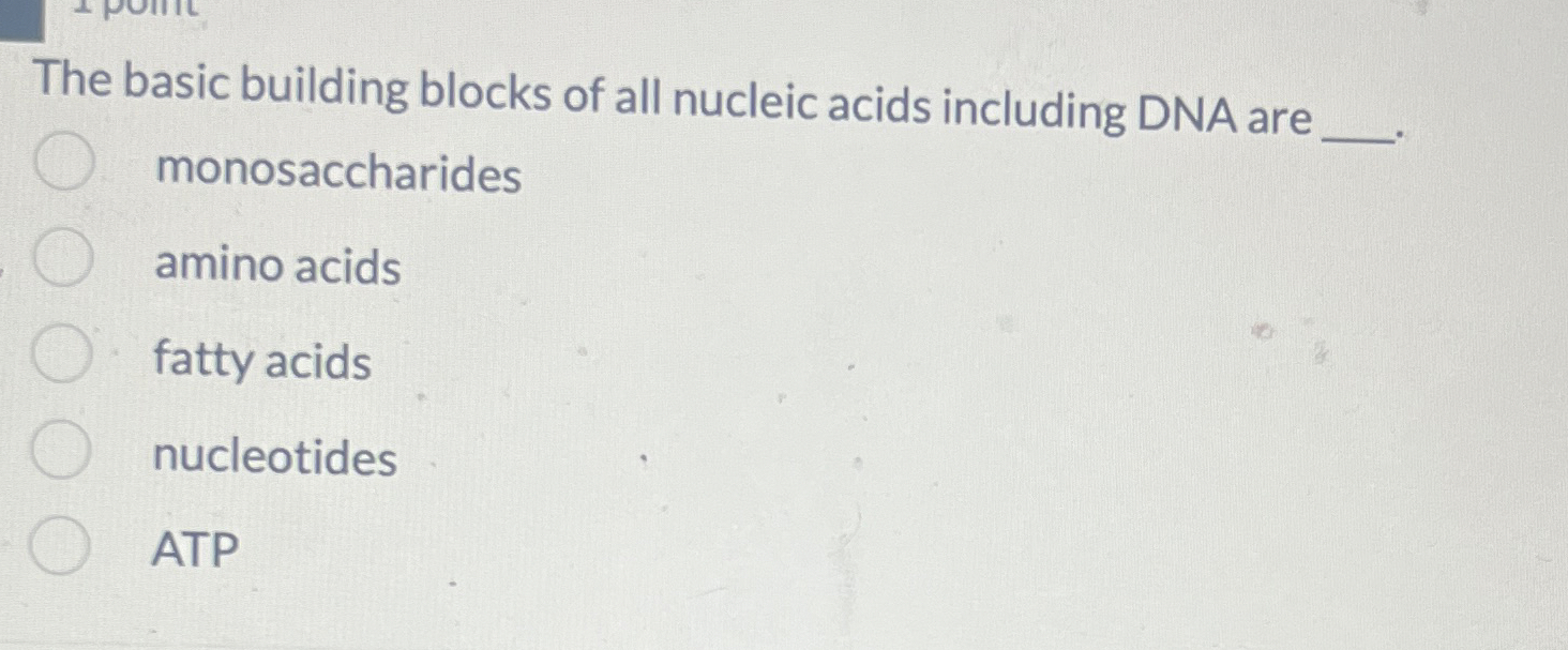 Solved The basic building blocks of all nucleic acids | Chegg.com