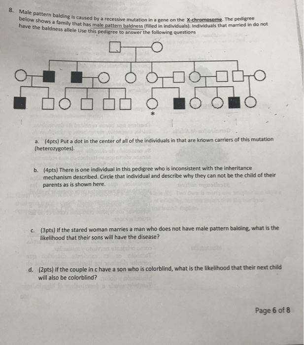 Solved 8. Male pattern balding is caused by a below shows a | Chegg.com