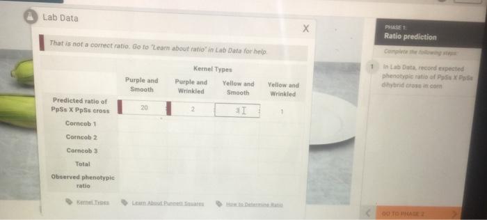 Solved Lab Data Х PHASE 1 Ratio prediction That is not a | Chegg.com
