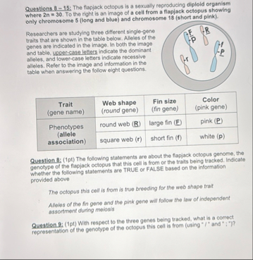 Questions 8-15 ﻿: The flapjack octopus is a sexually | Chegg.com