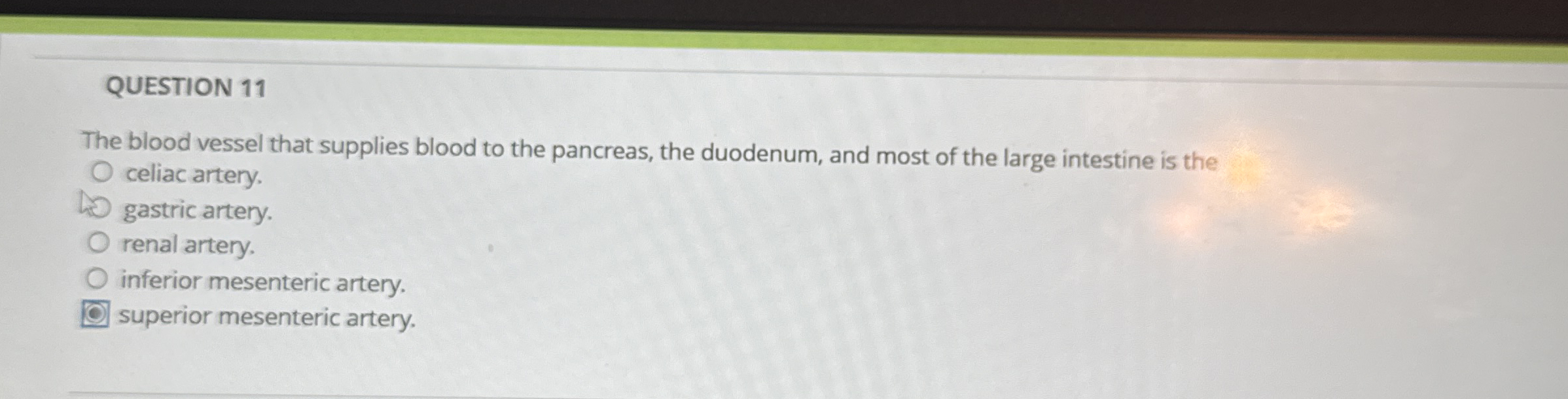 Solved QUESTION 11The blood vessel that supplies blood to | Chegg.com