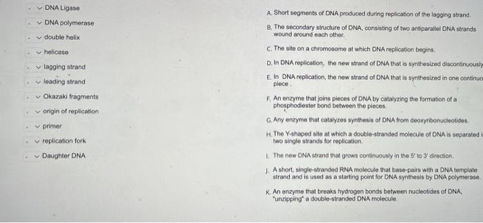 Solved A. Short segments of DNA produced during repication | Chegg.com