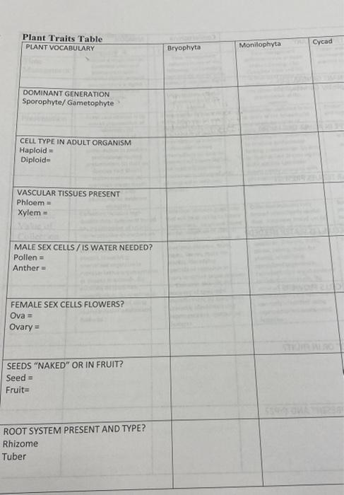 Solved Plant Traits Table Eudicot | Chegg.com