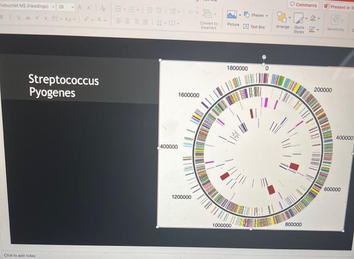Solved Streptococcus Pyogenes Click to add noles: | Chegg.com