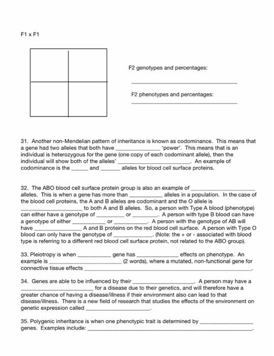 Solved F1 x F1 F2 genotypes and percentages: F2 phenotypes | Chegg.com