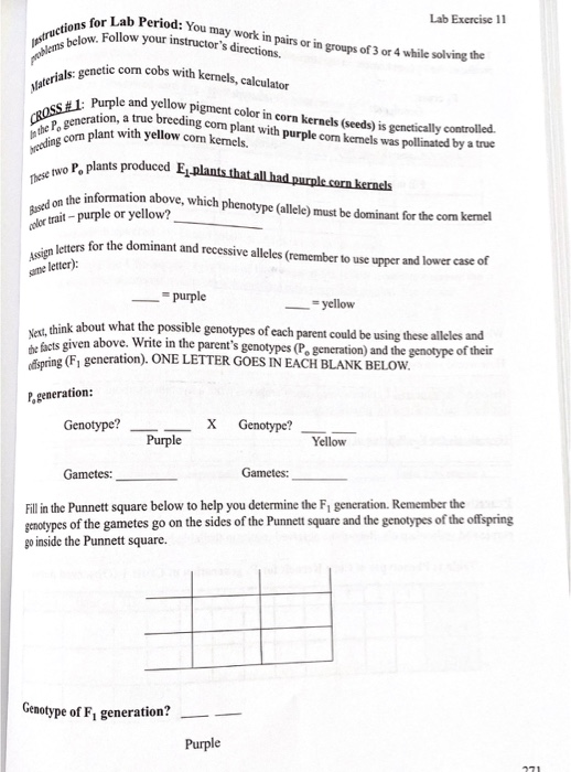 Solved Lab Exercise 11 for Lab Period: You may work in pairs | Chegg.com