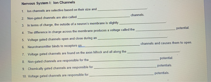Solved Nervous System I: lon Channels 1. lon channels are | Chegg.com