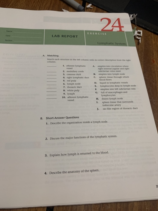 Solved 24 EXERCI LAB REPORT Lymphatic system A. Matching | Chegg.com