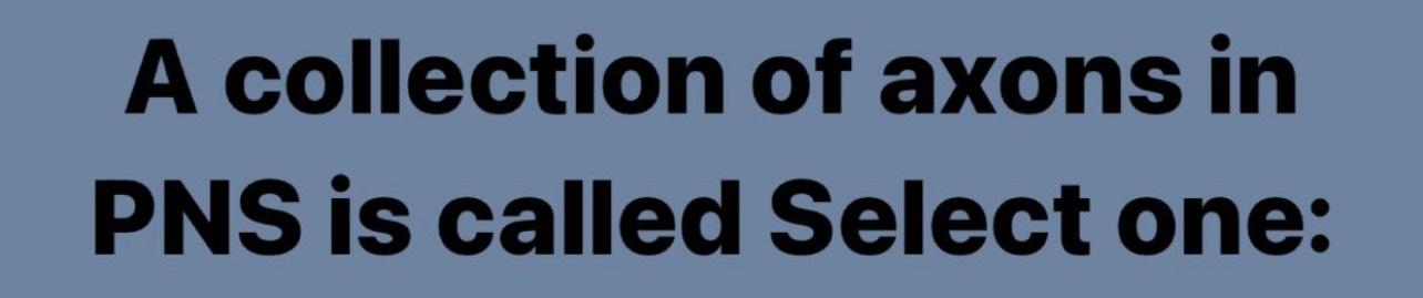 Solved A collection of axons in PNS is called ---- | Chegg.com